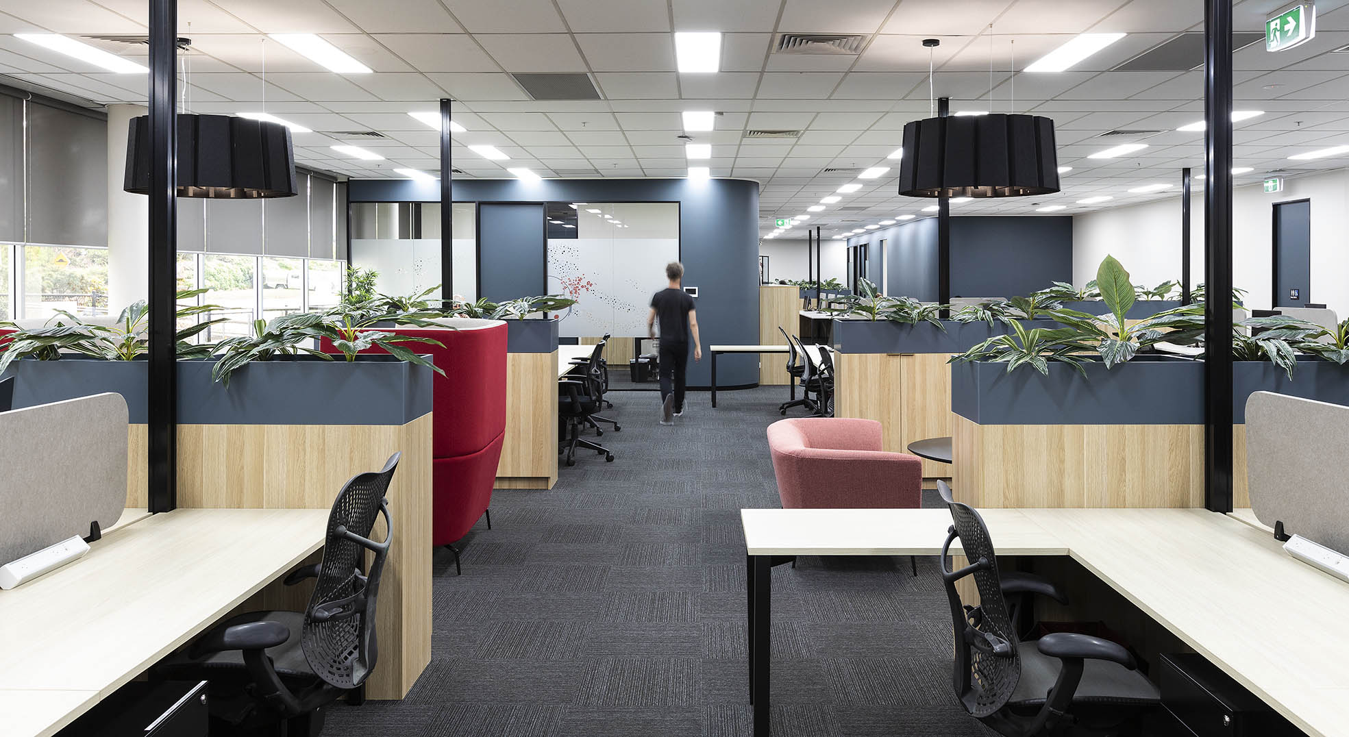 Canon Medical Systems | Contessa Lighting